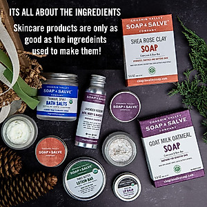 Chagrin Valley Soap & Salve Organic Natural Dry Shampoo Powder – for Light Hair - Absorbs Oil, Adds Volume & Refreshes Hair Between Washes – Vegan – No Talc – Fresh Mint Light Hair Dry Shampoo