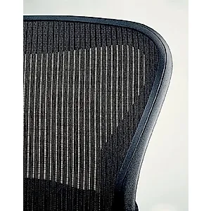 Herman Miller Embody Ergonomic Office Chair | Fully Adjustable Arms and Carpet Casters | Black Balance