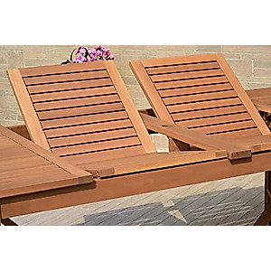 Brampton 9 Piece Outdoor Eucalyptus Extendable Dining Set | Perfect for Patio | with Teak Finish