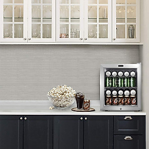 Whynter BR-062WS Stainless Steel Beverage Refrigerator with Lock, 62 Cans, White