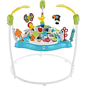 Fisher-Price Baby Bouncer Color Climbers Jumperoo Activity Center with Music Lights & Developmental Toys (Amazon Exclusive)