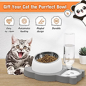 WZFFPAOJ Elevated Dog Cat Bowls, Tilted Cat Food and Water Bowl Set, Raised Stainless Steel Cat Bowls with Automatic Water Dispenser Bottle for Cats and Small Dogs Kitten Puppy