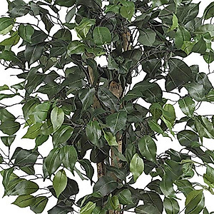 Nearly Natural 5299 Ficus Silk Tree, 4-Feet(48 in), Green