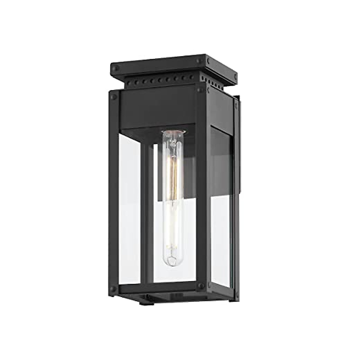 Troy Lighting B8513-TBK Braydan - 1 Light Outdoor Wall Sconce-13 Inches Tall and 6 Inches Wide