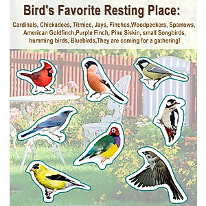 Garbuildman Upgraded 5-Prong Base Bird Bath with Metal Stake, Detachable Decoration Bowl Spa & Freestanding Birdfeeder for Outdoor Garden, Oval Style, Brown