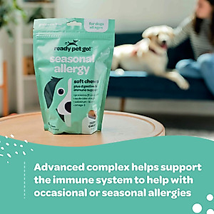 Dog Allergy Chews with Probiotics | Seasonal Allergy Chews for Dogs with Wild Alaskan Salmon Oil & Colostrum | Environmental Dog Allergy Support | NASC Certified & Made in The USA | 90 Chews