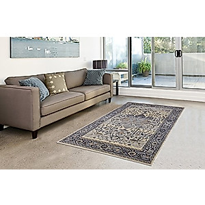 Pierre Cardin Cosmos Collection Oriental Design Area Rugs for Living Room Carpets (5' x 8', Multi (CS13D))
