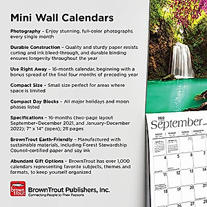 For the Love of Kittens 2022 7 x 7 Inch Monthly Mini Wall Calendar with Foil Stamped Cover, Animals Cats Feline