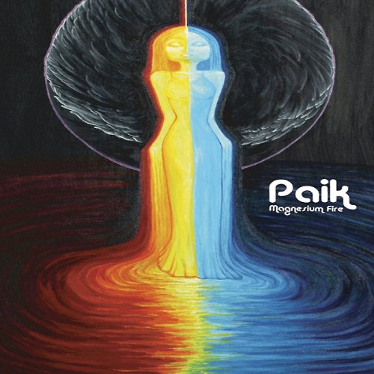 Paik: Magnesium Fire [DVD]