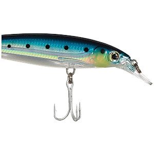 Rapala X-Rap Saltwater 12 Fishing lure, 4.75-Inch, Blue Sardine