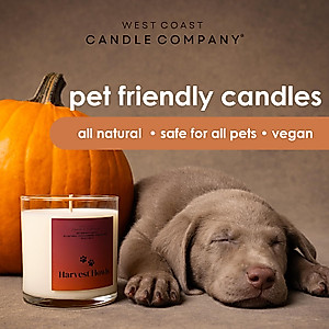 Pet Friendly Candle | Pet Safe Candle | All Natural Clean Burning Soy Candle | Pet Odor Eliminator | Dog & Cat Safe Candle | Air Freshening Scented Candles | 4 oz (Home for The Howlidays)