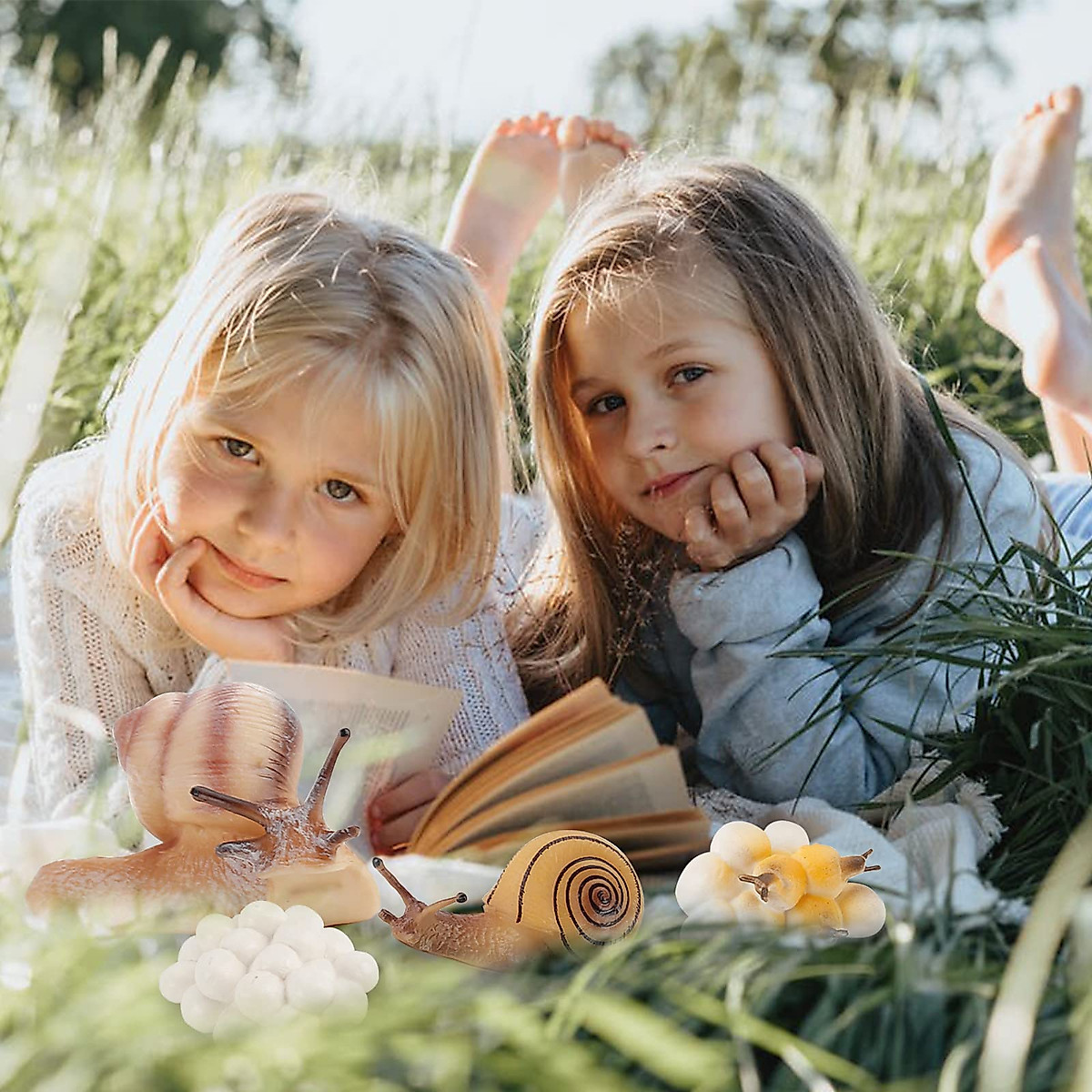 Snail Life Cycle of Snail Toys Life Cycle Figures Set Realistic Preschool Animals Figurines Eduactional Project Diorama Model Toy for Kids