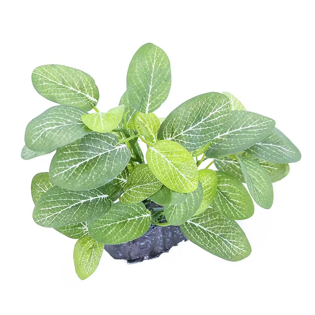 MRTIOO Reptile Artificial Plants, Terrarium Plants Decorations Supplies, Amphibian Habitat Hideout Tank Accessories, Rainforest Ground Plant (H)