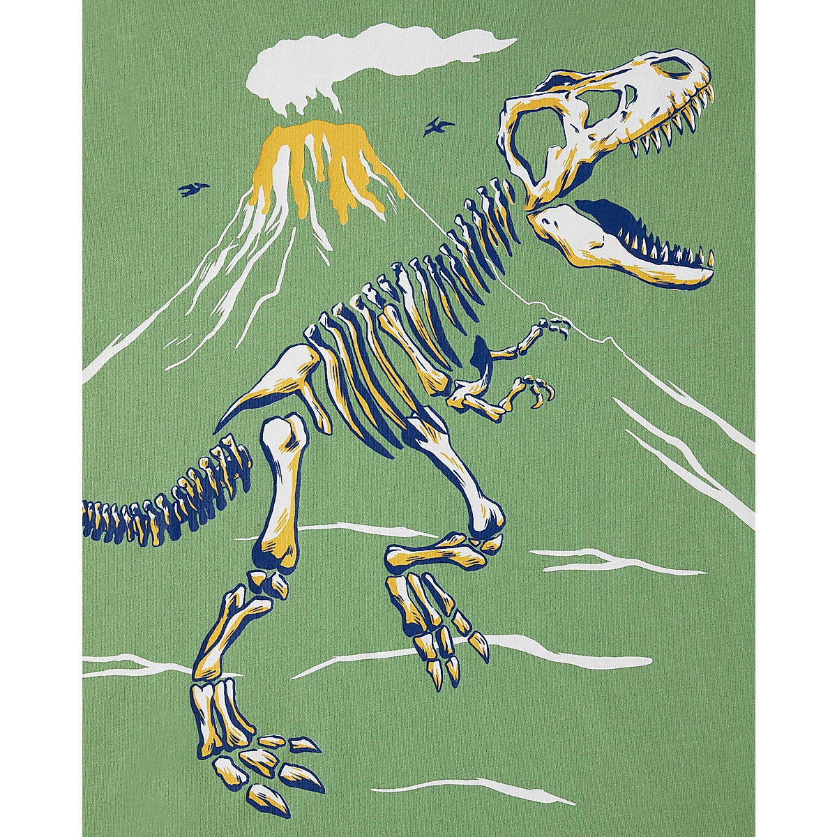 The Children's Place,Long Sleeve Graphic T-Shirt 2-Pack,Greta Green,XLarge (14)