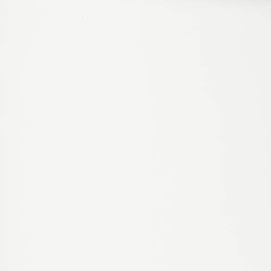 Zojirushi NHS-10 6-Cup (Uncooked) Rice Cooker, White