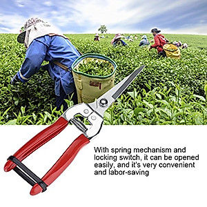 Sturdy Fruit Tree Bonsai Gardening Trimming Pruning Shears Garden Scissors Pruner Tool for Hand Pruners Trimmer Garden Clippers Flower Cutter (Straight Blade)