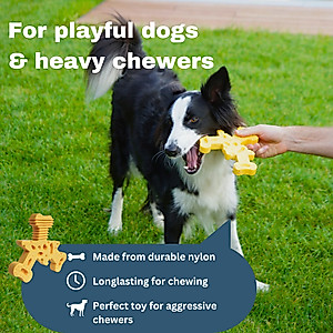 ta-stories Chew Toy for Aggressive chewers/Large Dogs- Irrisitable Cheese Flavor, Durable & Long Lasting, Designed for midium/Large Size Dogs, Verified by Real Dogs
