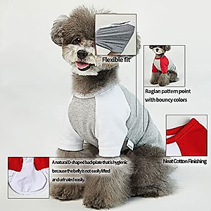 Lucky Petter Dog Shirt for Small and Large Dogs Raglan Cotton T-Shirts Soft Breathable Dog Shirts pet Clothes Gray Series (3X-Large, Gray/Blue)