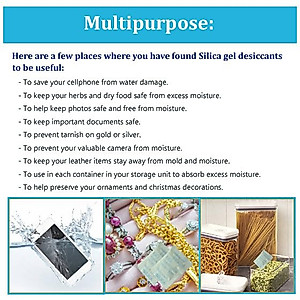 Desiccant Packs 100 Packets 2 Gram Premium Silica Gel Moisture Absorber for Storage Food Contact Safes