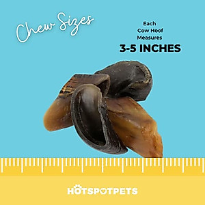 Full-Size Cow Hooves for Dogs | All-Natural Long Lasting Dog Chews | Made from Grass Fed Cattle | Tasty Treat for Oral Hygiene | Fantastic Alternative for Rawhide and Bully Sticks (10 Pack)