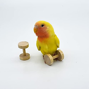 Parrot Bird Toy Supplies Gnawing Dumbbell Weight Lifting Training Intelligence Development Props Bird Tools for Parrots Budgie Parakeet Cockatiel Cockatoo Conure