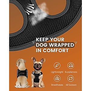 FAYOGOO Service Dog Vest for Small Breed - Lightweight Dog Harness with 6PCS Removable Patches - Puppy Harness and Leash Set for Walking,Training