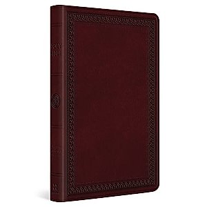 ESV Large Print Value Thinline Bible (TruTone, Mahogany, Border Design)