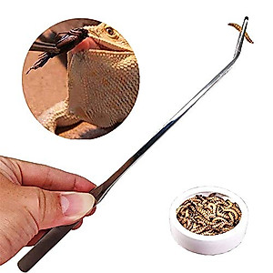 Reptile Feeding Tool Set,Feeding Clip and Long Tweezers for Hamsters,Insects,Turtle,Snake,Spider,Frog,Gecko,Chameleon and Other Small Animals