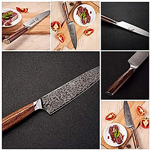 [8 Inch]Chef Knife,FANTECK Kitchen Knife Ultra Sharp Pro German High Carbon Stainless Steel Meat Sushi Fruit Vegetable Cutting Gyuto Cleaver Best Chef Knife[Gift Box]-Ergonomic Pakkawood Handle