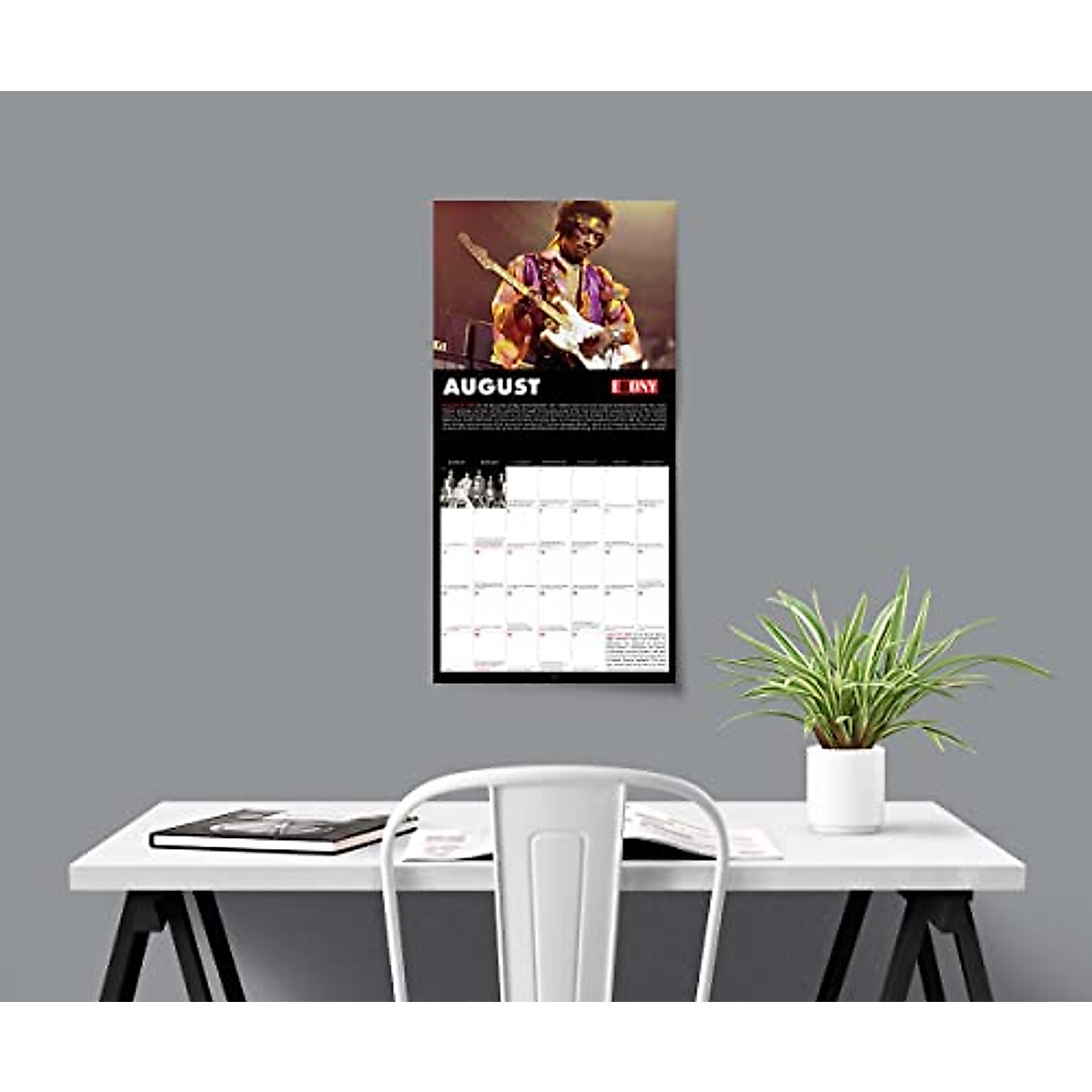 2023 This Day in Black History Wall Calendar: 365 Days of Incredible Black Icons, Achievements, and Events (12-Month Photography Calendar & Gift)