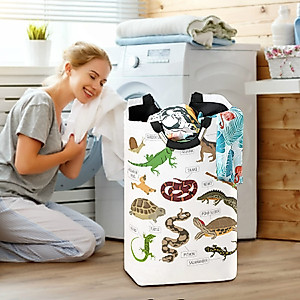 Green and Brown Pet Reptiles Frog Iguana Lizard Snake Newt Turtle Laundry Hamper Basket Bucket, Foldable Dirty Clothes Bag, Waterproof Fabric Washing Bin, Toy Storage with Handles for Bathroom