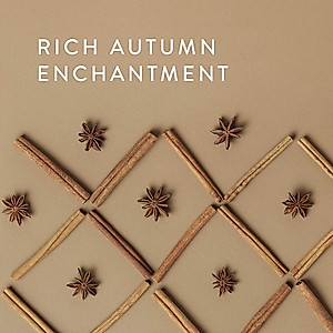 Thymes Simmered Cider Harvest Red Poured Candle - Warm & Spicy Scented Candle with Notes of Apple, Clove, and Cardamom - Luxury Home Fragrance - Red Candle (13 oz)