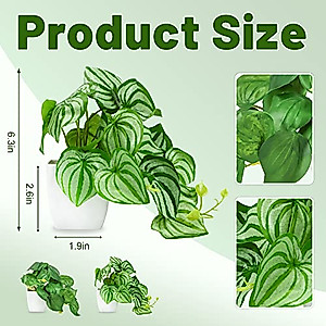 CEWOR Fake Plants 2 Packs Artificial Plants Small Plants Artificial Decor for Home Bedroom Aesthetic Living Room Bathroom Farmhouse Decor Indoor