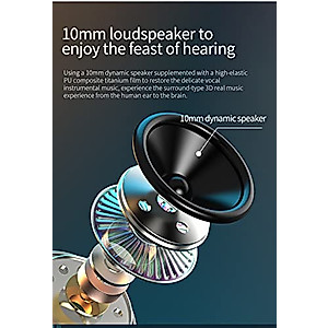 DARK WOLF True Wireless Earbuds,Active Noise Cancellation Bluetooth Headphones Touch Control with Charging Case ，Built-in Mic Stereo Earphones Light-Weight Waterproof in-Ear Headset (BL-J7)