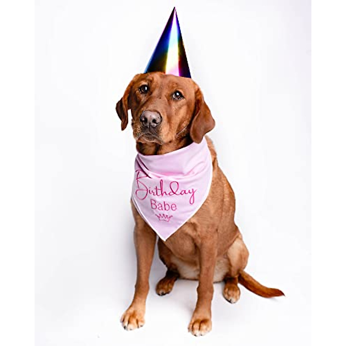 Dog Birthday Bandana for Large Dog – 23 x 23 in, Large, Embroidered Birthday Girl Dog Bandana for Dogs with Stitched Edges & Cotton Drawstring Bag – Dog Birthday Gifts & Dog Clothes by Kendall Wags
