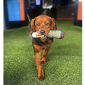 Nestpark Doggy Doobie - Funny Dog Toys - Plush Squeaky Dog Toys for Medium, Small and Large - Cute Dog Gifts for Dog Birthday - Cool Stuffed Dog Toys