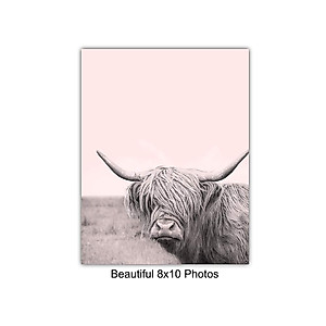 Cow Wall Decor - Cow Decorations for Home, Kitchen, Bathroom, Bedroom, Living Room, Apartment, Office - Highland Cow Gift for Women - Cute Unique Boho Cow Wall Art - 8x10 Pink Photo Picture Set