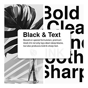 Economink Remanufactured Ink Cartridge Replacement for HP 67 67XL Black for DeskJet 2700 2725 2752 2755 2732 Plus 4100 4152 4155 4140 Envy 6000 6055 6052 Pro 6400 6452 6455 Printer (1 Pack)