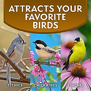 Morning Song Sunflower Hearts & Chips Wild Bird Food, No Mess Sunflower Seeds for Birds, 5.5-Pound Bag