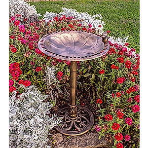 BACKYARD EXPRESSIONS PATIO · HOME · GARDEN 912449-NW Outdoor Garden Bird Bath- Bronze- Weather Resistant Polyresin-30 Inch-Backyard Expressions