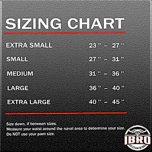 IBRO Quick Locking Premium Weight Lifting Belt - Back Support for Powerlifting, Cross Training & Gym Bodybuilding - 4 Inch Nylon Men and Women with Metal Buckle for Core Stability Silver S