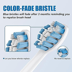 SuitShine Replacement Toothbrush Heads for Philips Sonicare Replacement Heads, Compatible with Phillips Sonicare Snap-on Electric Tooth Brushes, 6 Pack