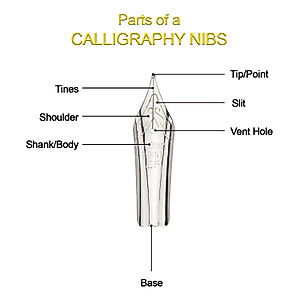 Trustela Office Supplies Calligraphy Nibs, 18 Calligraphy Pen Nibs, Dip Pen Nibs, Feather Pen Nibs, Quill Pen Nibs, Ink Pen Nibs, Fountain Pen Nibs