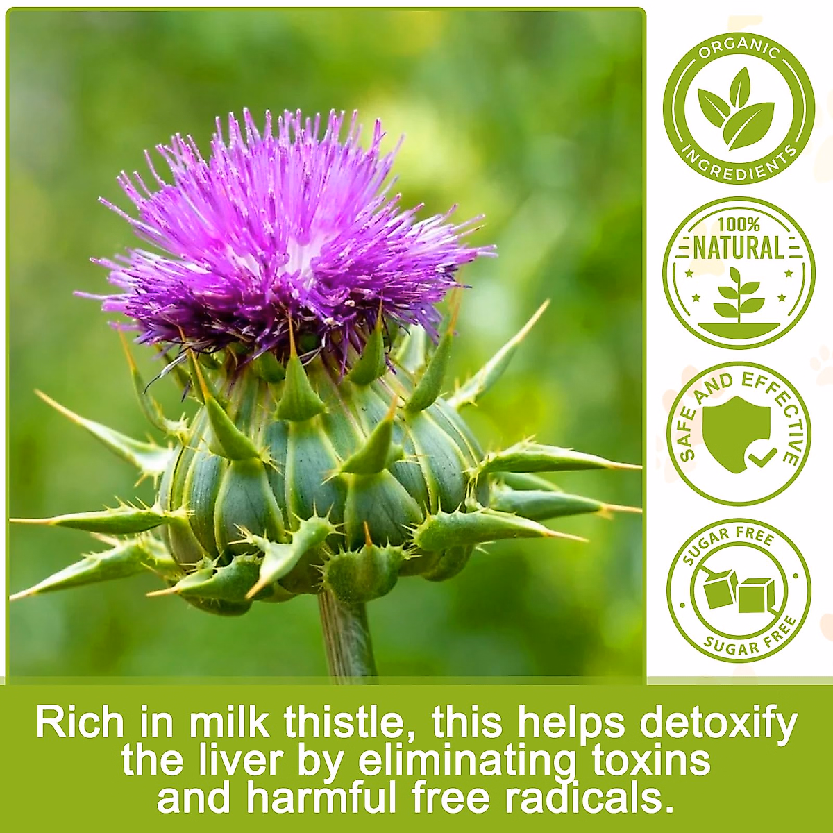 Milk Thistle for Dogs - Milk Thistle Supplement Tablets with EPA & DHA for Dogs Supports Liver Health and Kidney Function, Boosts Immune System, Dog Herbal Supplement Treats - 180 Chewable Tablets