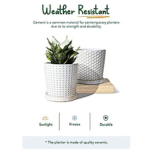 LE TAUCI Ceramic Plant Pots, 5.4 Inch Pots for Indoor Plants, Planters with Drainage Hole and Saucer, Flower Pots for Succulent, Snake Plants and Cactus, Set of 2, Reactive Glaze White