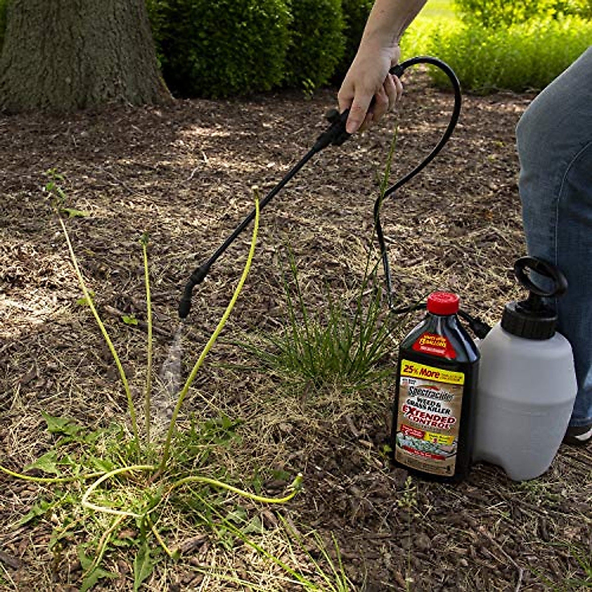 Spectracide Weed & Grass Killer With Extended Control Concentrate, Extended Weed And Grass Control, Prevents Weeds Coming Back, 40 fl Ounce