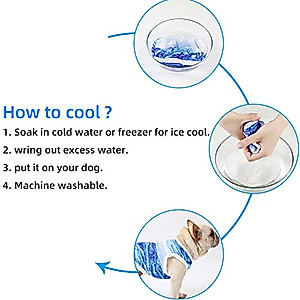 DORA BRIDAL Dog Cooling Vest Instant Pets Cooling Collar Cat Chill Out Ice Shirt for Dogs Puppy Cats in Summer S (Blue)