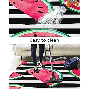 Outdoor Rug Waterproof Outdoor Patio Rug Outdoor Area Rug Mats RV Camping Rugs Outdoor Carpet Tropical Fruit Watermelon Pink Summer Stripe Black and White Background 4x6 Feet