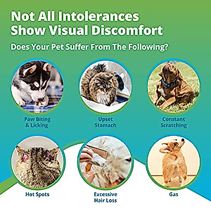 5Strands Pet Food and Environmental Intolerance Test, at Home Sensitivity Test for Dogs & Cats, Hair Sample Collection Kit, 380 Items Tested, Results in 7 Days, Works for All Ages and Breeds