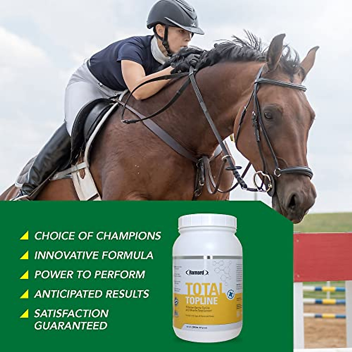 Ramard Total Topline Powder Horse Supplements - Build and Maintain Muscle Tissue During Recovery for Foals and Horses - Protein & Amino Energy Horse Supplement - 2lb Tub
